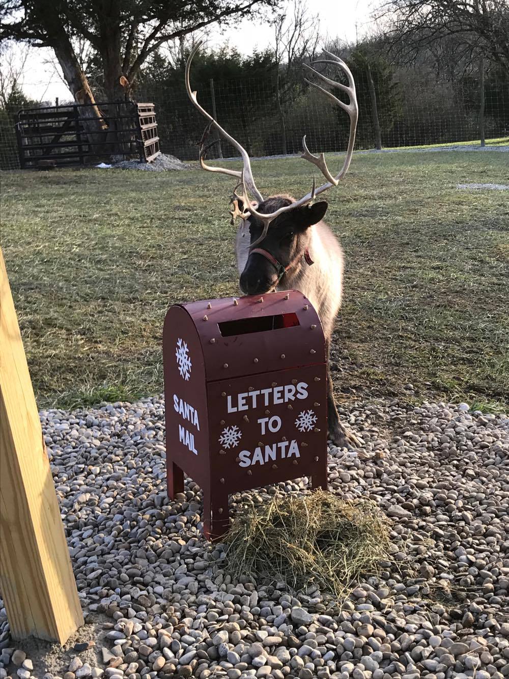 Gallery – Reindeer Ridge