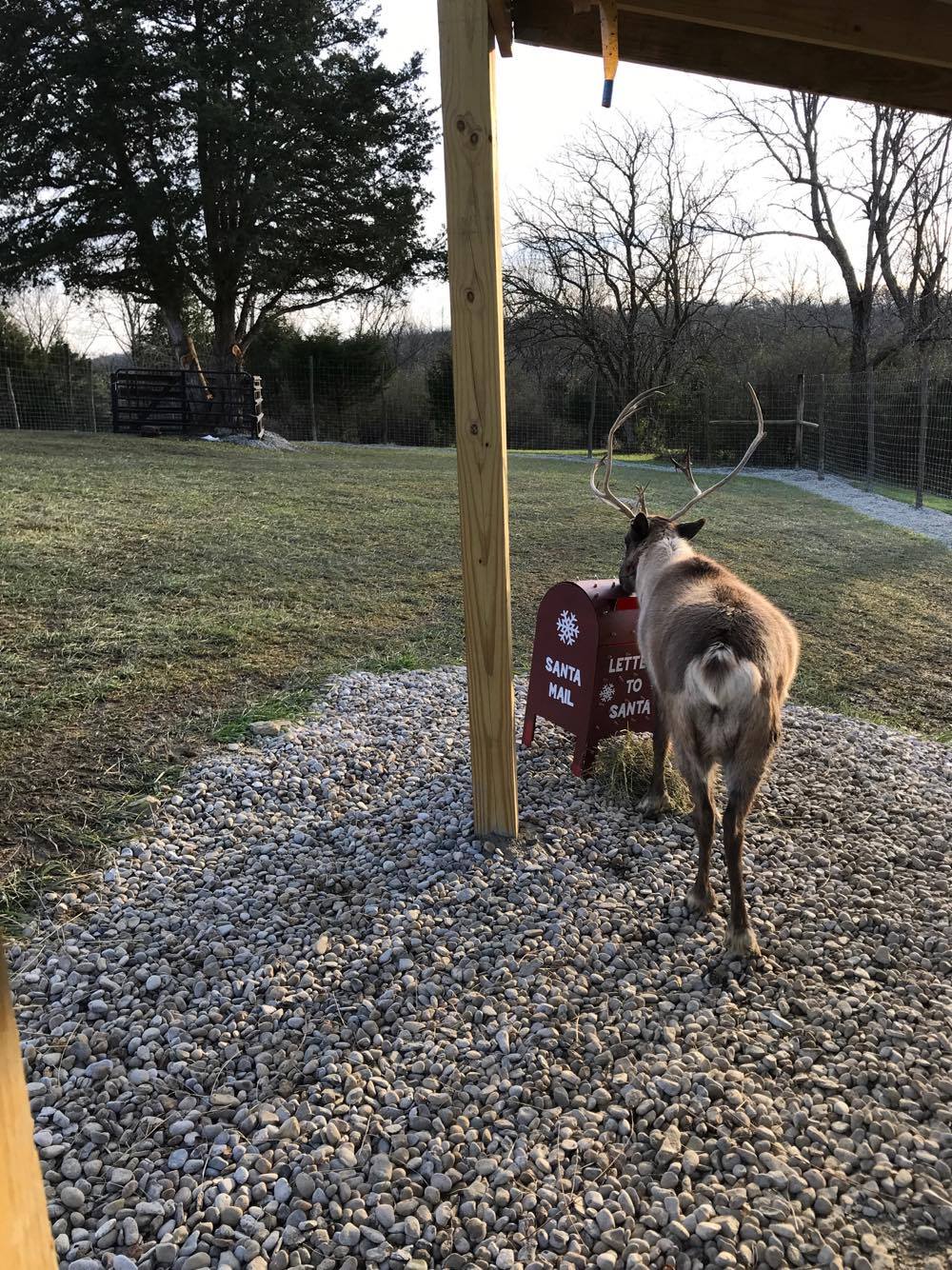 Gallery – Reindeer Ridge