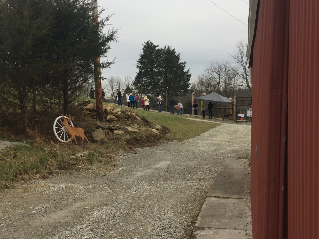 Reindeer Ridge – A family-owned reindeer farm in southeastern Indiana ...