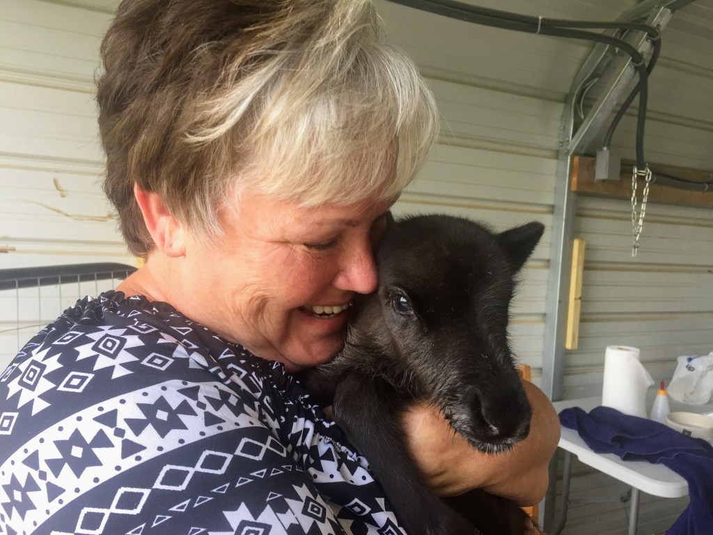 Reindeer Ridge – A family-owned reindeer farm in southeastern Indiana ...