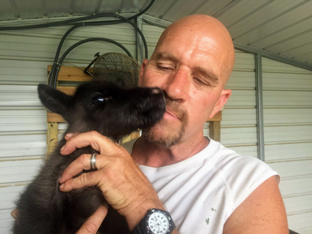 Reindeer Ridge – A family-owned reindeer farm in southeastern Indiana ...